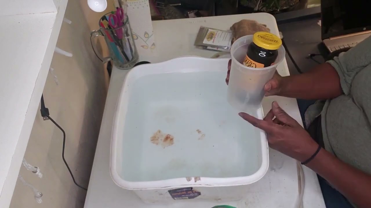 How to Brew Compost Tea | Compost Tea for your Plants - WFH Globe ...